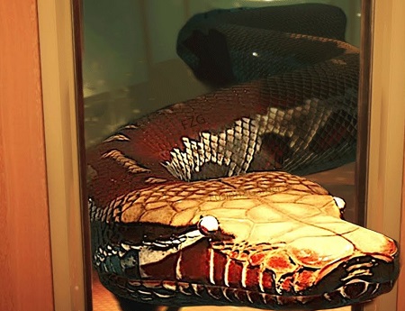 No-Snake Hotel Game Play Online for Free