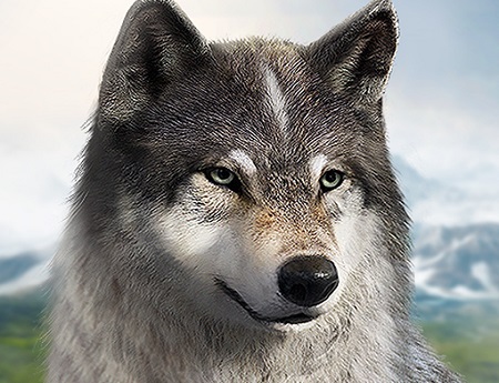 Wolf Game: The Wild Kingdom Game Play Online for Free