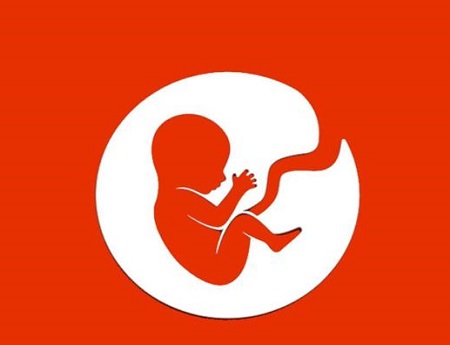 BitLife Simulator Game Play Online for Free